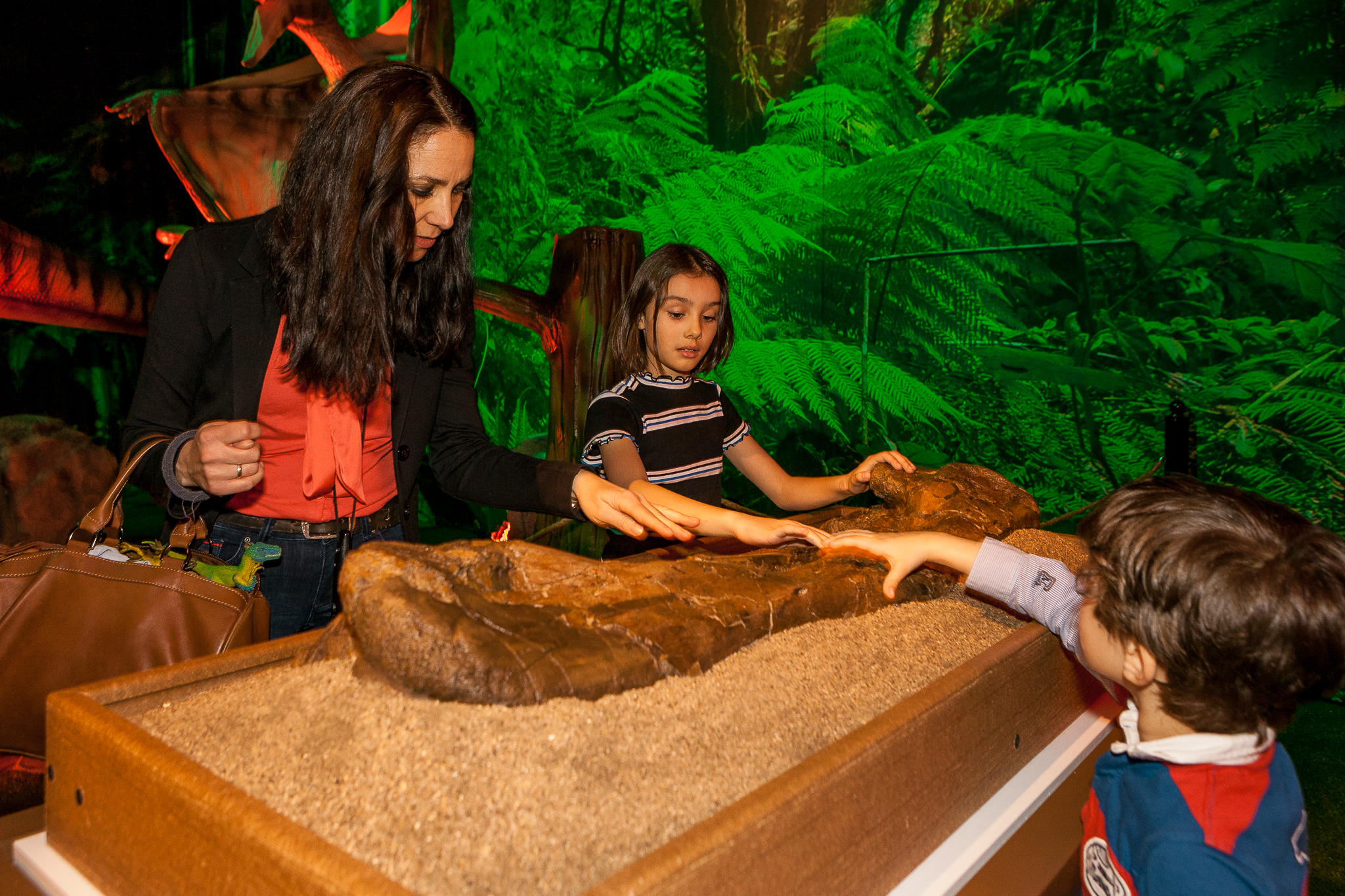 Dinosaurs Around the World | Montreal Science Centre