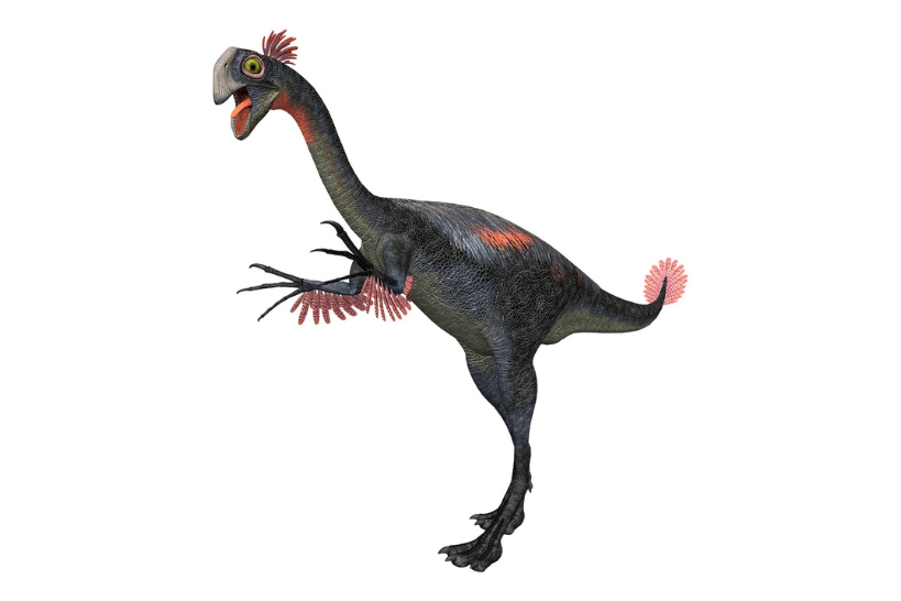 Weird Dinosaurs